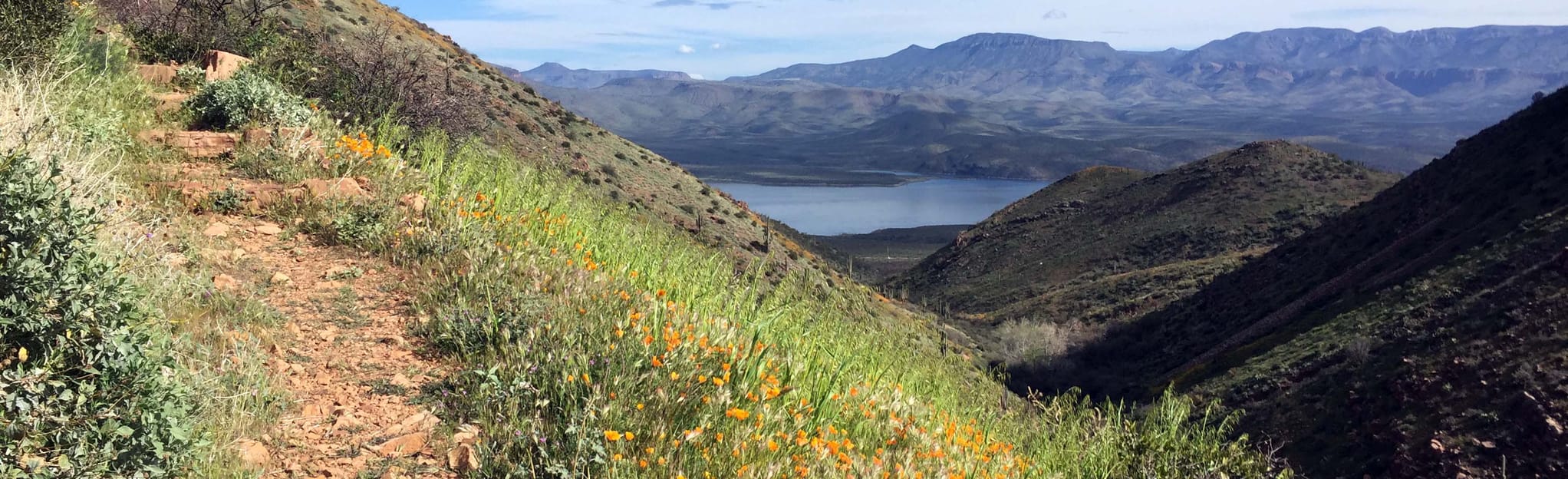 Upper Cliff Dwelling Trail, Arizona - 56 Reviews, Map | AllTrails