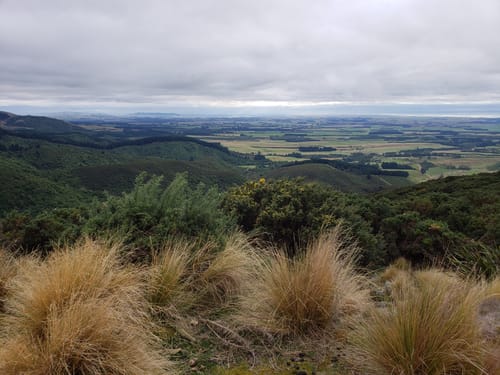 2023 Best 10 Trails and Hikes in Timaru | AllTrails