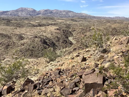 10 Best Off Road Driving Trails in Joshua Tree National Park | AllTrails