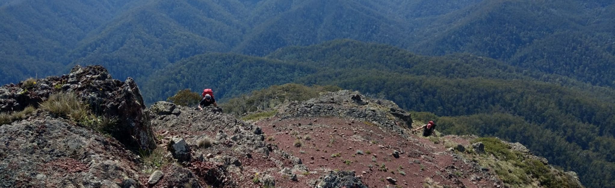 Mount McDonald: 3 Reviews, Map - Victoria, Australia | AllTrails