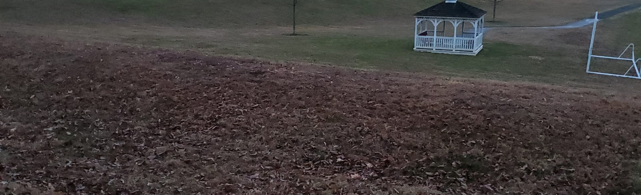 Cape Horn Park Loop: 50 Reviews, Map - Maryland | AllTrails