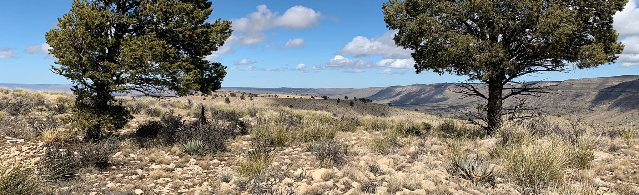 Bush Mountain Trail, Marcus Trail, McKittrick Canyon, and Dog Canyon ...