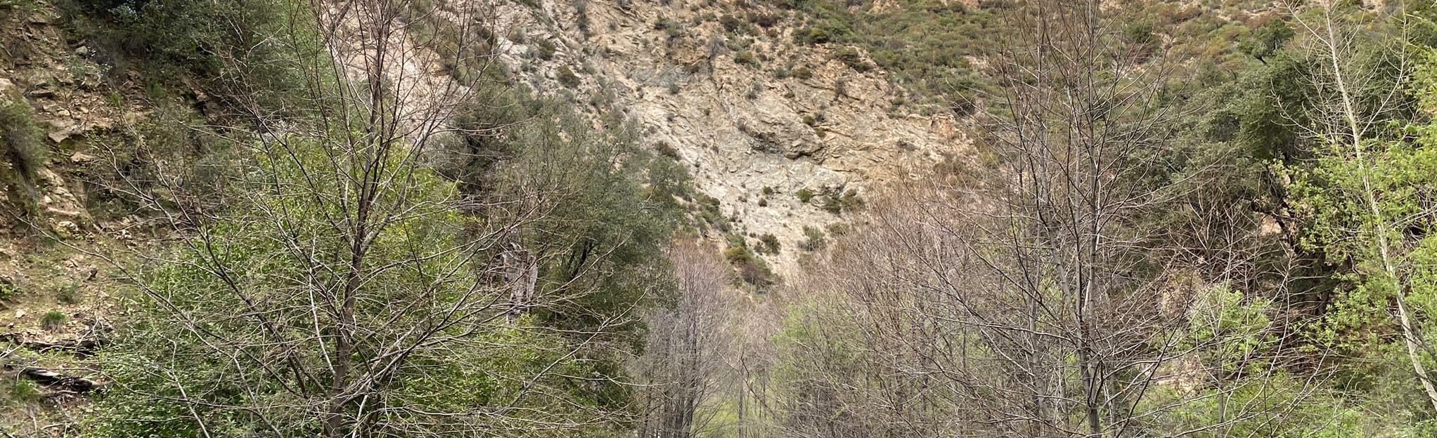 Switzer Picnic Area to Gould Mesa Campground | Map, Guide - California ...