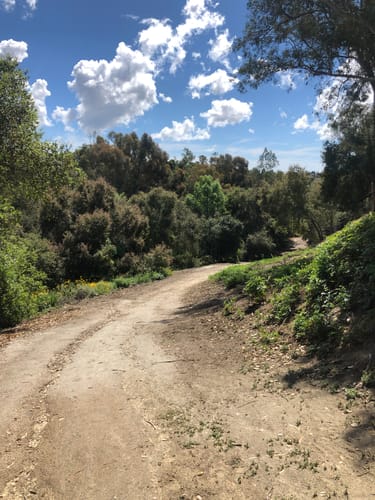 Best Hikes and Trails in El Toro | AllTrails