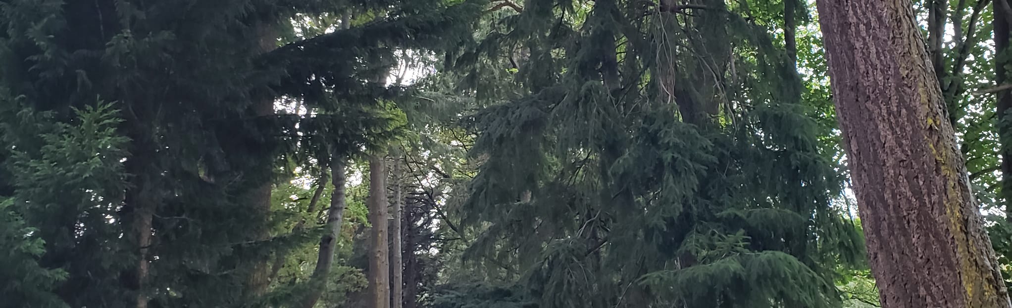 Temuka Field Loop: 2 foto's - Canterbury, Nieuw-Zeeland | Wandelen ...