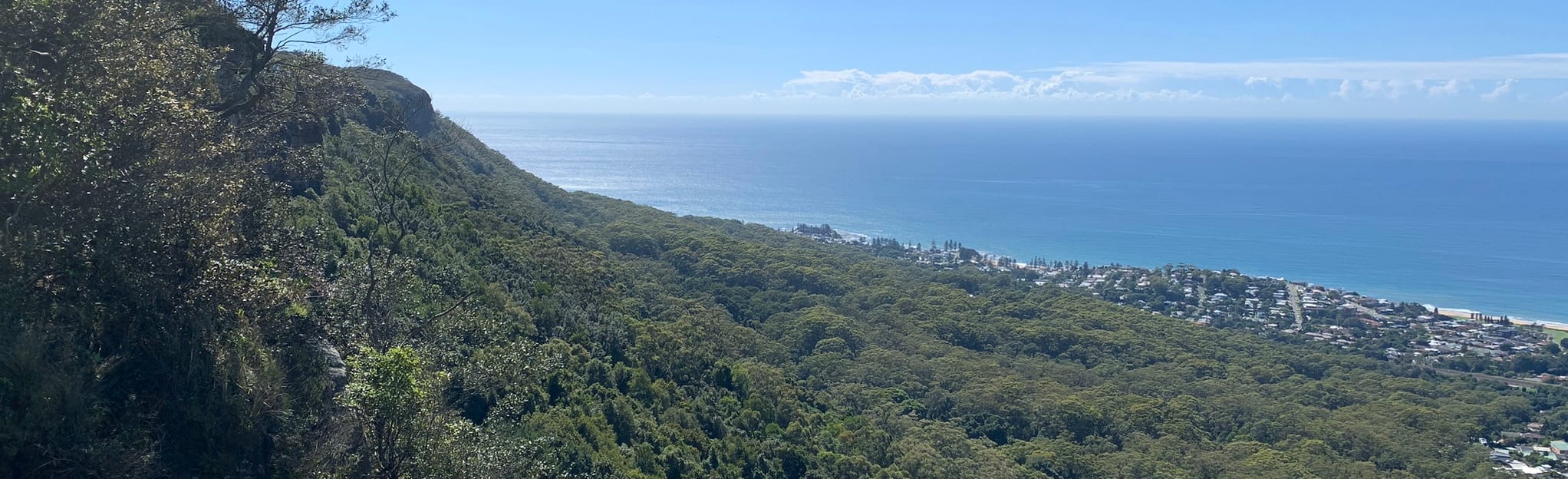 Sublime Point - Bulli Lookout Loop Track [CLOSED]: 6 Reviews, Map - New ...