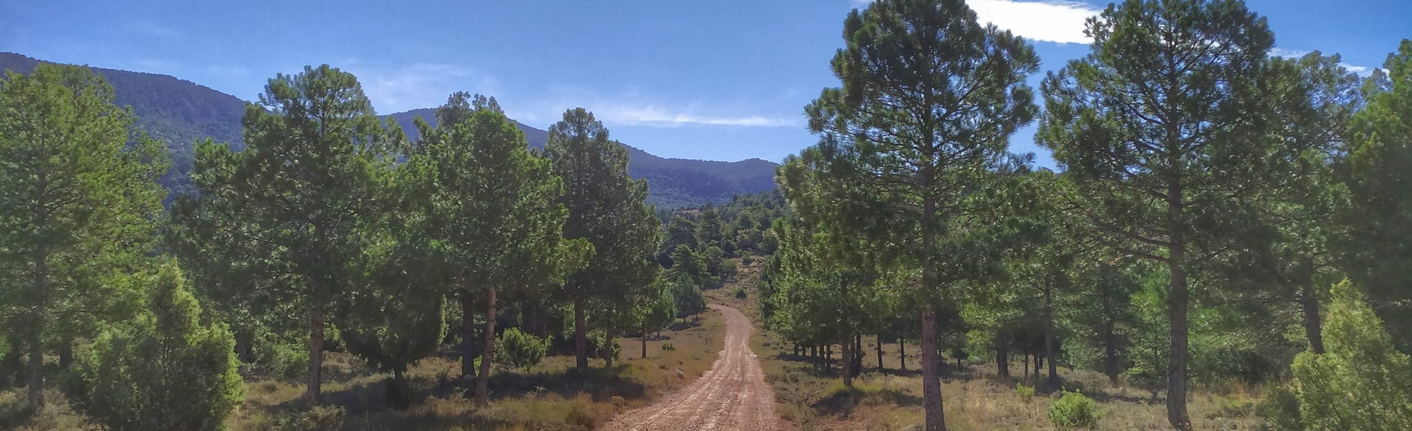 AllTrails | Mas del Olmo - Cerro Calderón - El Chaparral: 0 Reviews ...