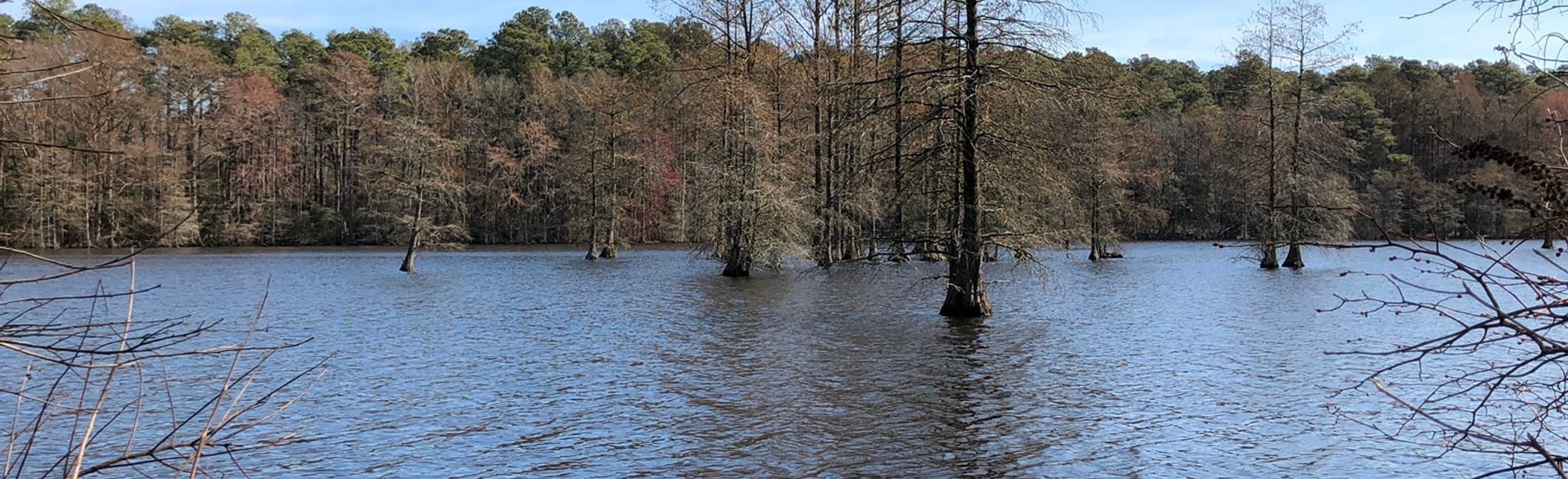 Island Trail, Delaware - 86 Reviews, Map | AllTrails