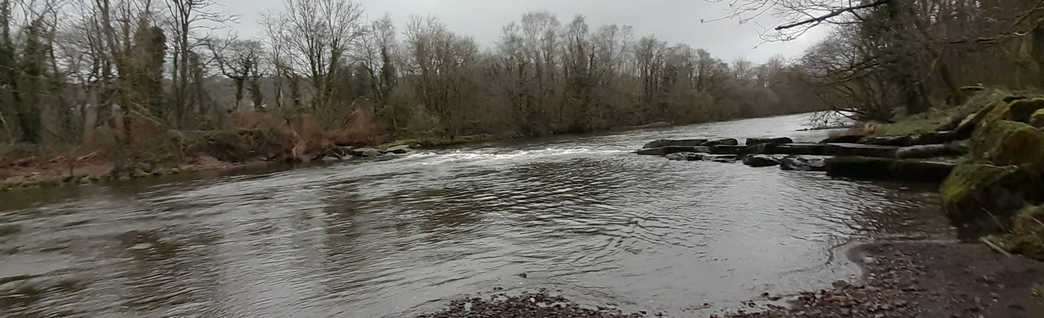 River Tawe Walk: 4 Reviews, Map - Swansea, Wales | AllTrails