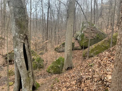 10 Best Hikes and Trails in Kanawha State Forest | AllTrails