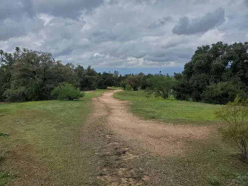 10 Best Trails and Hikes in Redlands | AllTrails