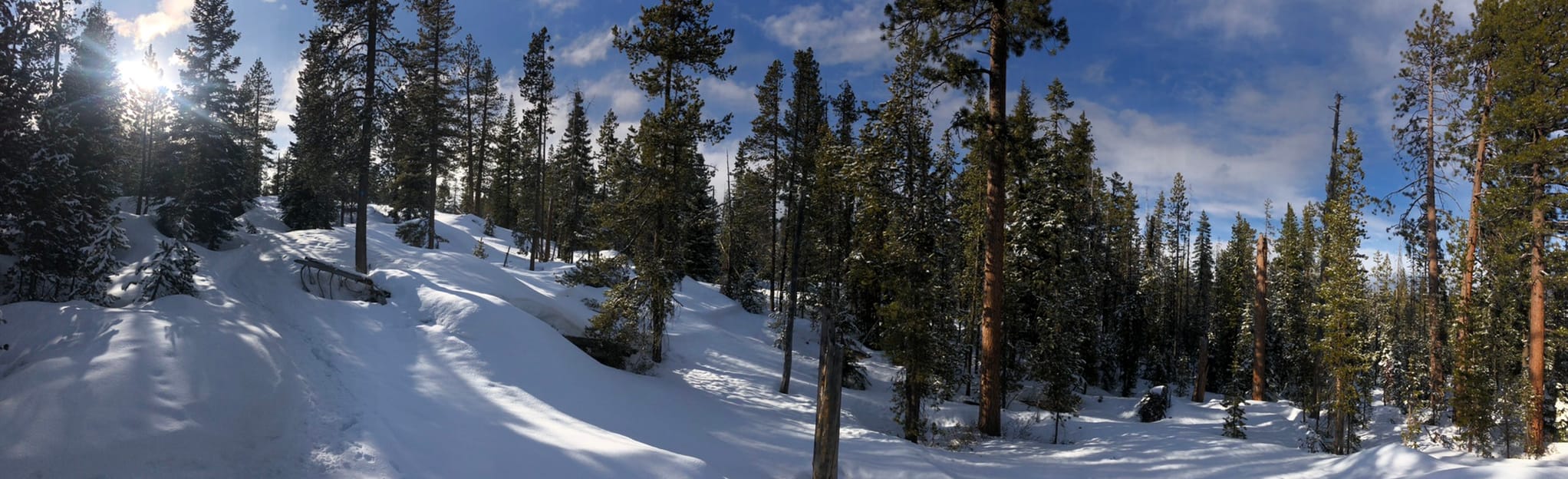 Tesla Snowshoe Loop: 93 Reviews, Map - Oregon | AllTrails