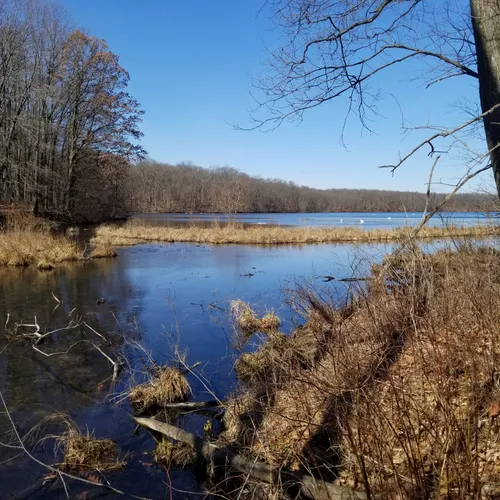 Best Hikes and Trails in Fort Custer Recreation Area | AllTrails