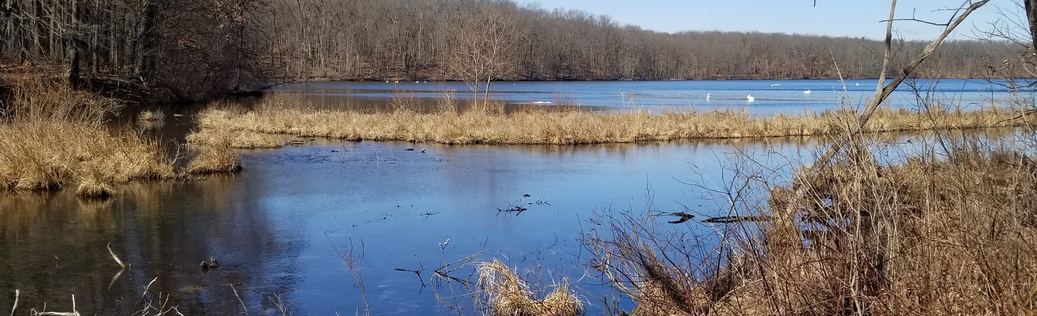 Fort Custer State Recreation Area Singletrack Loop, Michigan - 56 ...
