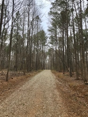 Best Hikes and Trails in Duke Forest Edeburn Division | AllTrails