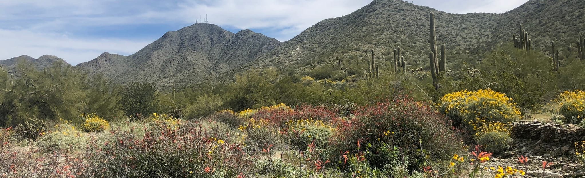 Quartz Trail, Arizona - 284 Reviews, Map | AllTrails