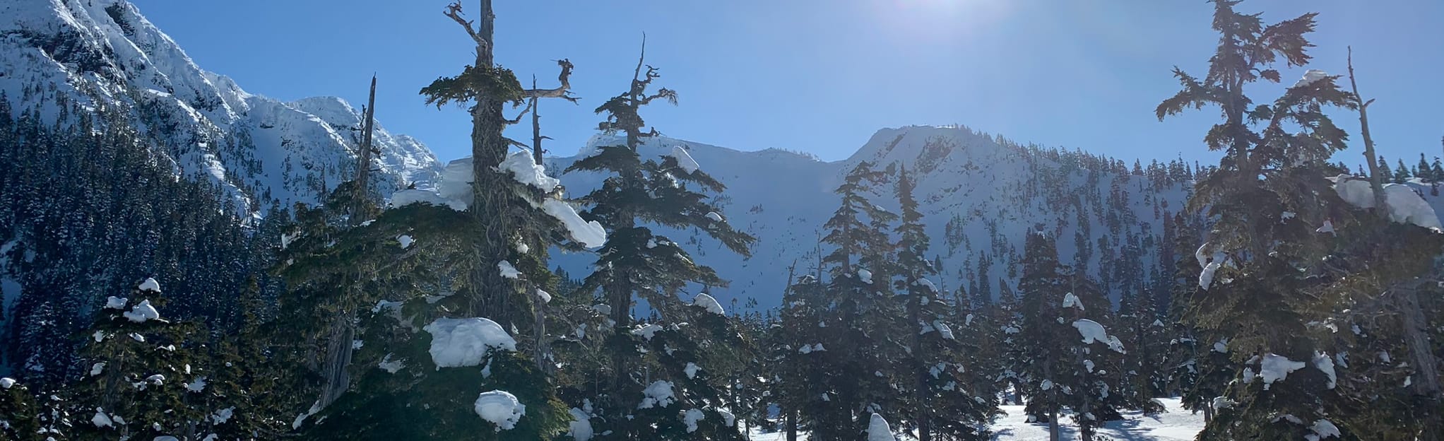 Mount Cain West Bowl Trail, British Columbia, Canada - 3 Reviews, Map ...