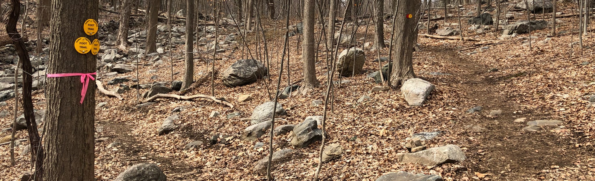 Granite Mountain North Red Loop Trail, New York - 34 Reviews, Map ...