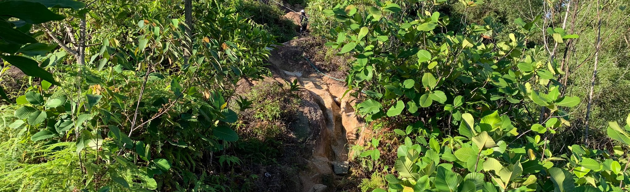 Bukit Besi Extended Loop: 71 Reviews, Map - Kuala Lumpur, Malaysia ...