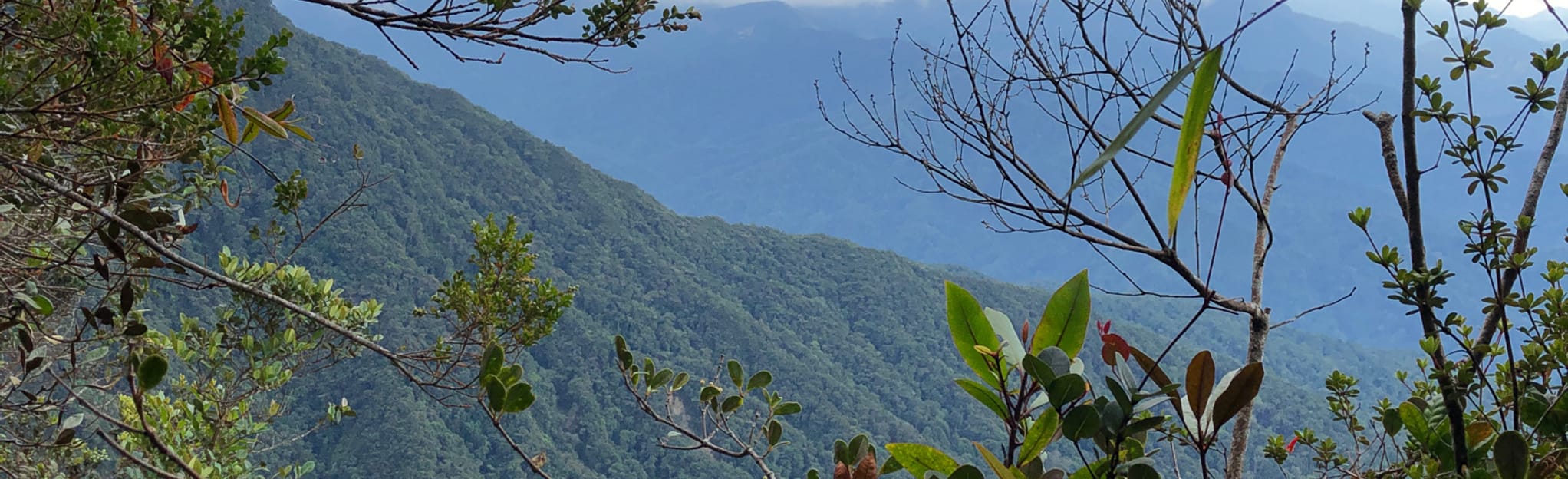 Gunung Korbu - Gunung Gayong - Perak, Malaysia | AllTrails