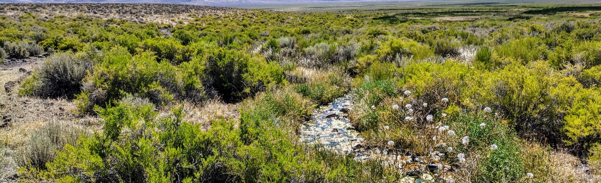 Soldier Meadows Trail | Map, Guide - Nevada | AllTrails