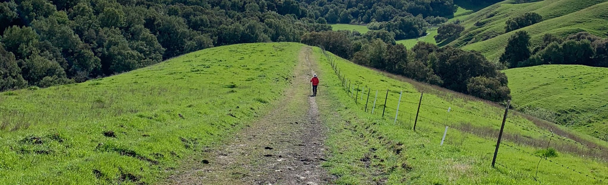 Pine Tree, Toyon Canyon, Lagoon, Abrigo Valley, and Mott Peak Loop: 182 ...
