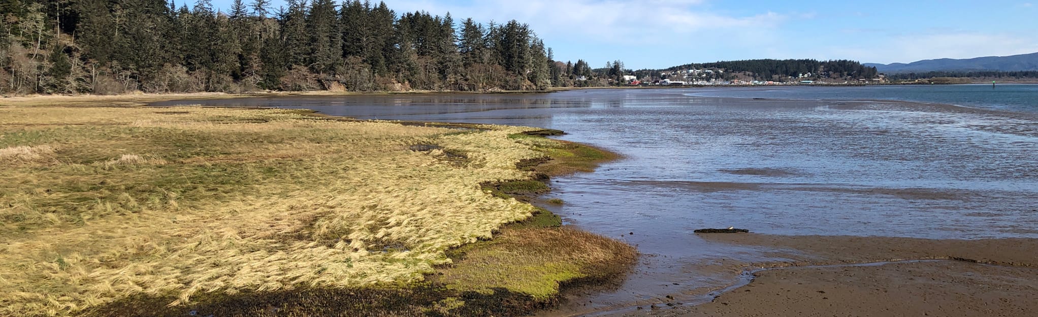 Coastal Forest Loop Trail, Washington - 125 Reviews, Map | AllTrails