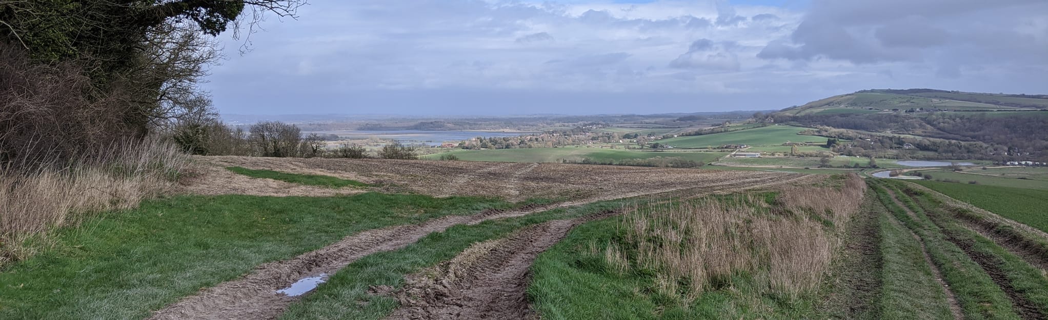 Rewell Woods, South Downs Way, Windy Ridge and Monarch Way, West Sussex ...