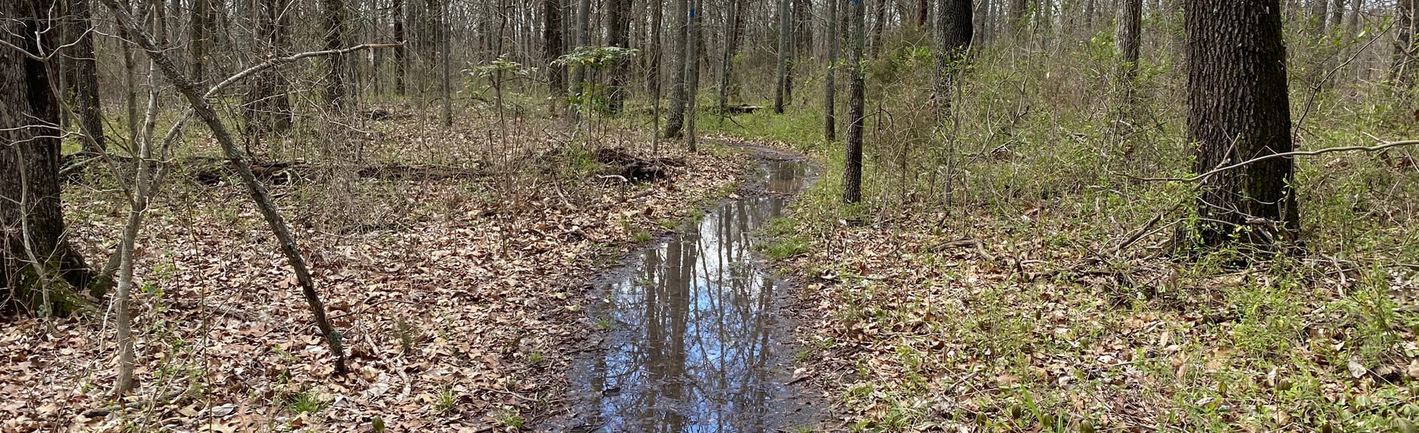 Sawtooth Loop Trail, Oklahoma - 280 Reviews, Map | AllTrails