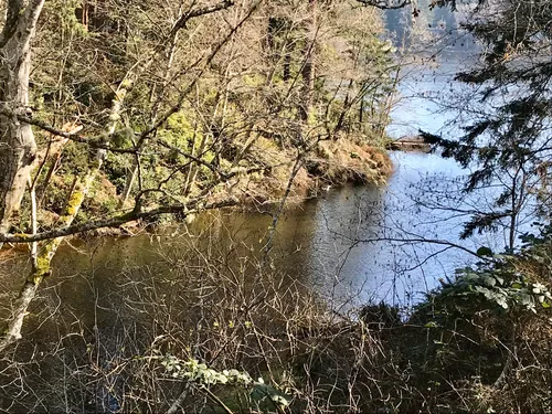 Best Lake Trails in Langley | AllTrails