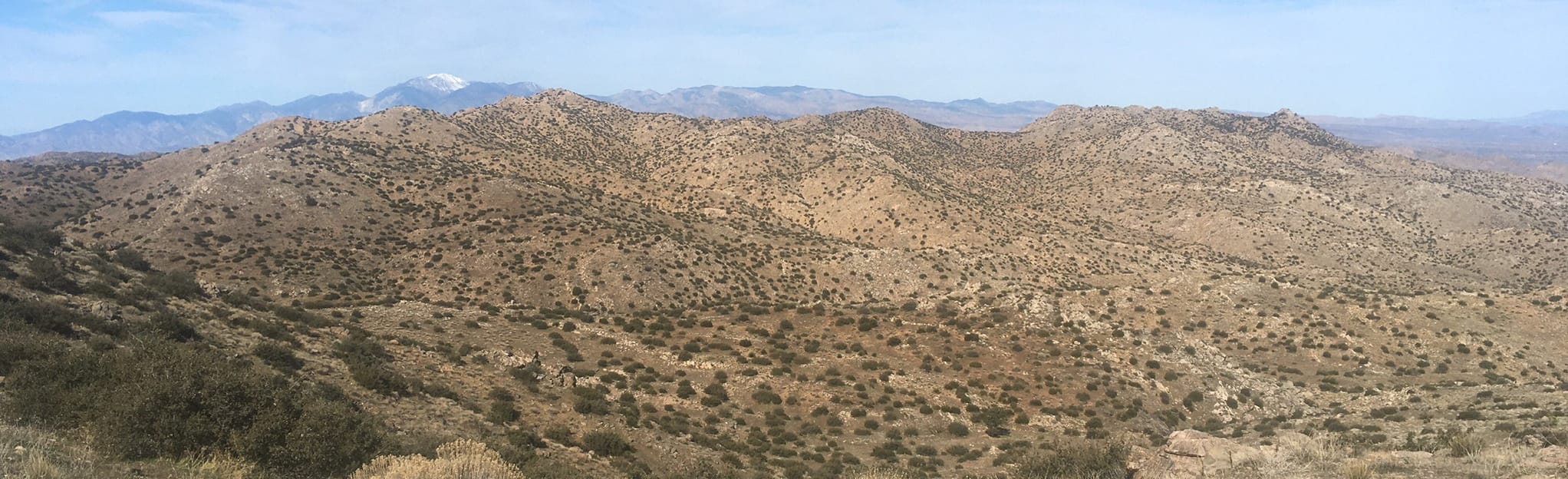 Quail Mountain via CA Riding and Hiking Trail and Stubbe Springs Trail ...