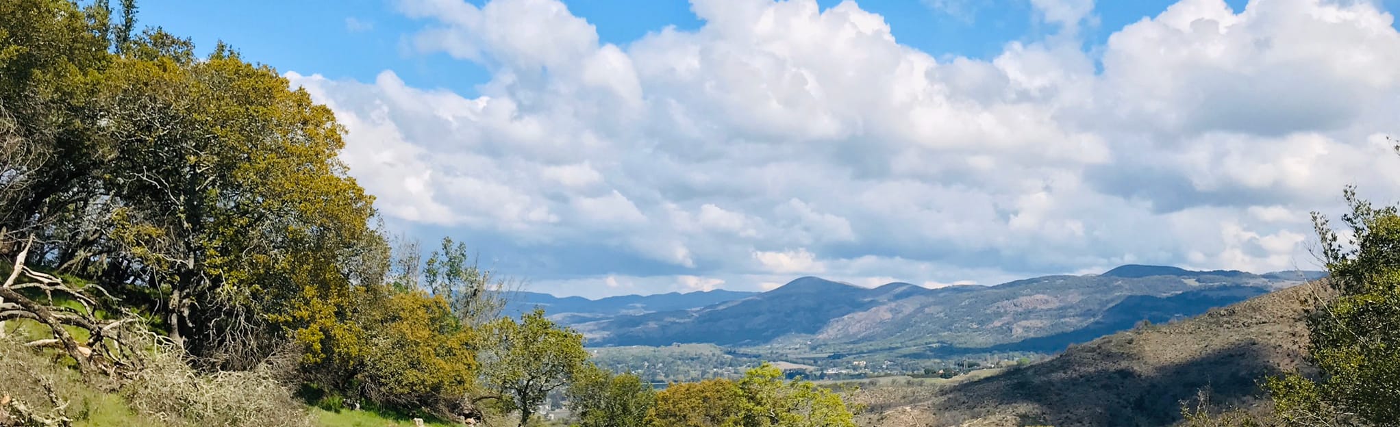 AllTrails | Bay Area Ridge Trail: Skyline Wilderness Park and Napa ...