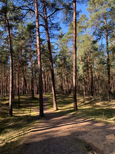 Best 10 Trails and Hikes in Riga | AllTrails