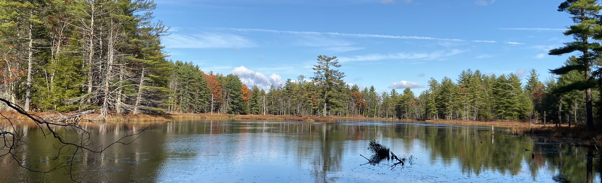 Mill Pond Trail and Gum Tree Trail Loop: 116 Reviews, Map - New ...