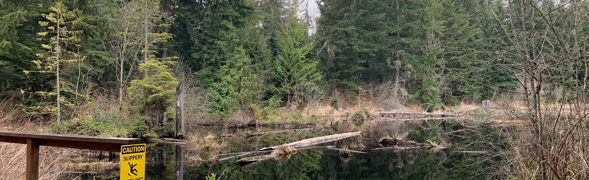 Enclave Trail, Adair Trail, and Sunrise Loop, Washington - 55 Reviews ...