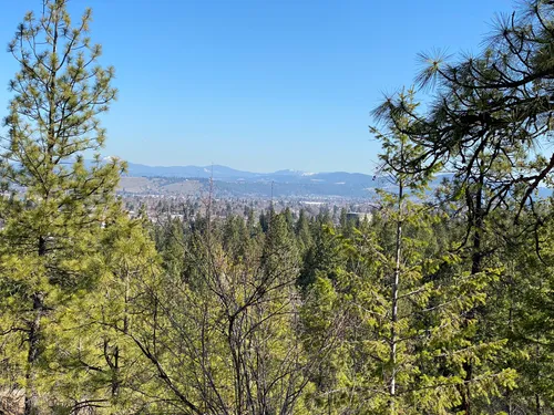 10 Best Trails and Hikes in Spokane | AllTrails
