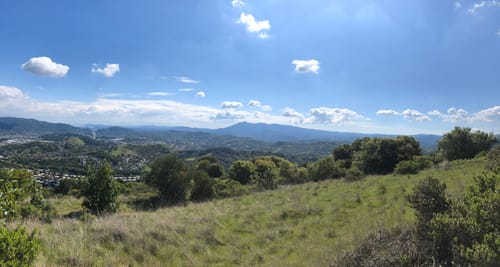 Best Hikes and Trails in Lucas Valley Open Space | AllTrails