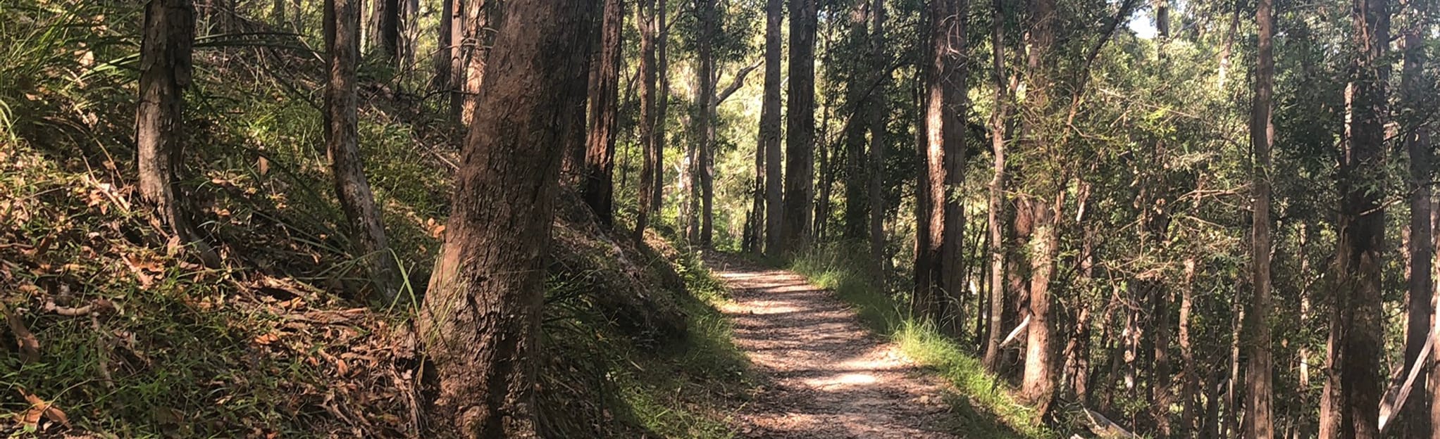 Kimberley Forest Park to Venman Bushland - Queensland, Australia ...