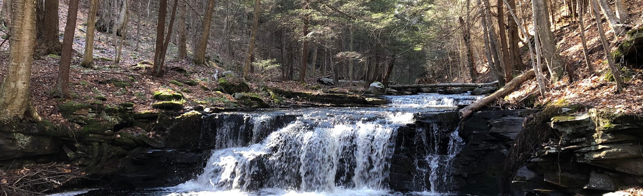 Rusty Run Falls: 49 Reviews, Map - Pennsylvania | AllTrails
