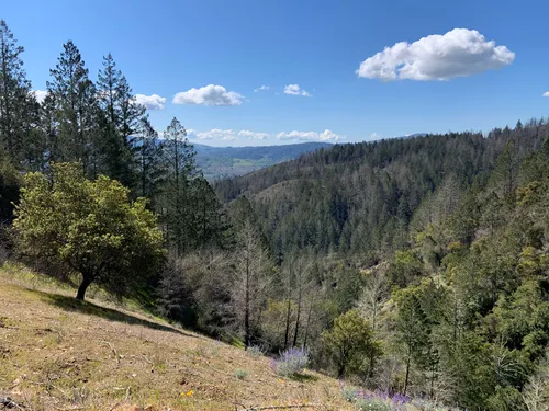 10 Best Hikes and Trails in Sugarloaf Ridge State Park | AllTrails