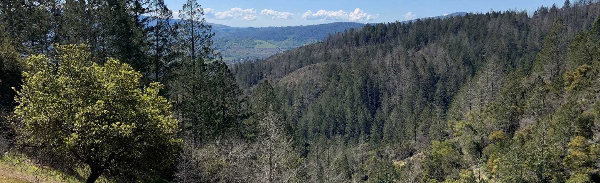 Goodspeed-Nattkemper Trail to Mount Hood Peak and Gunsight Lookout ...