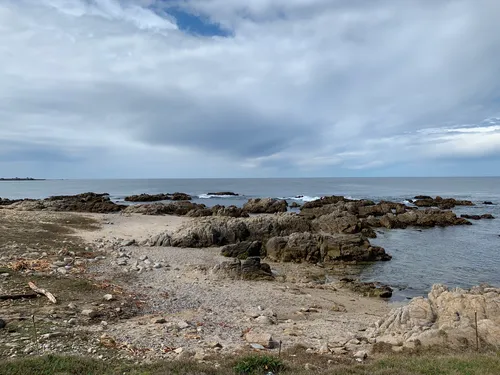 Best Hikes and Trails in Asilomar State Beach | AllTrails