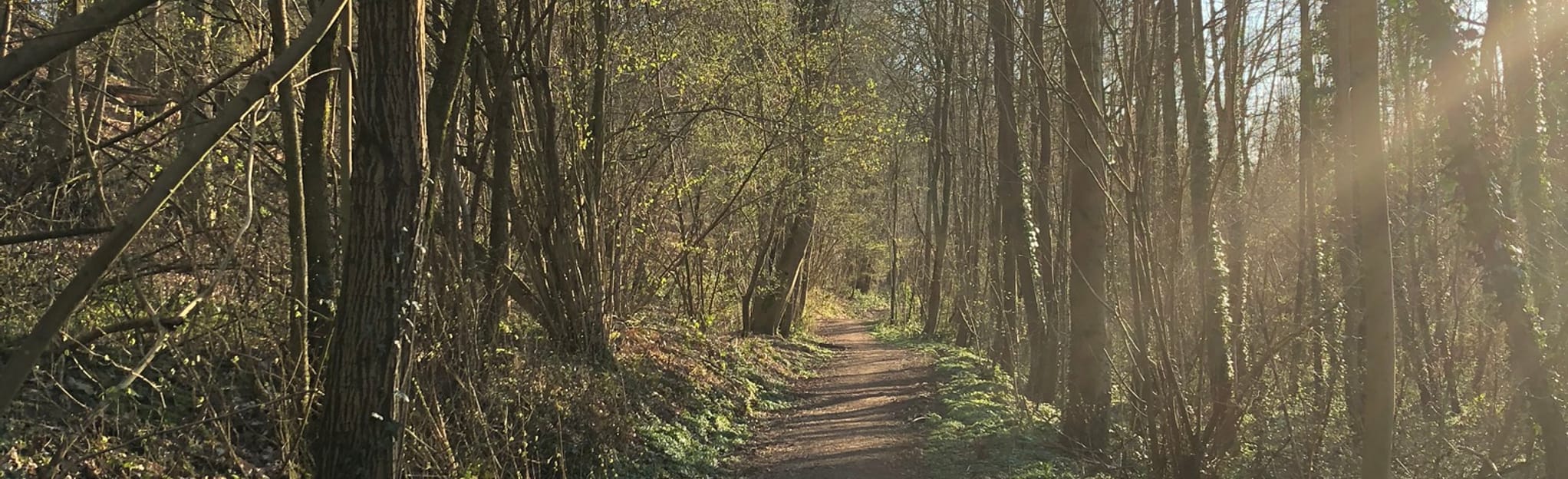 Rixensart circuit: 1 Reviews, Map - Walloon Brabant, Belgium | AllTrails