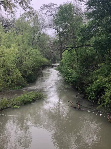 Best Hikes and Trails in Medina River Natural Area | AllTrails