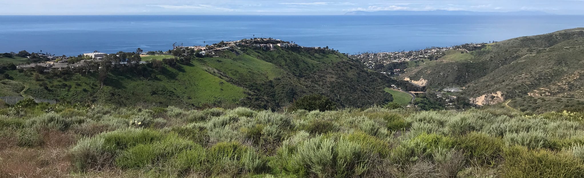 West Ridge Trail, Lynx, and Cholla Trails: 163 Reviews, Map ...