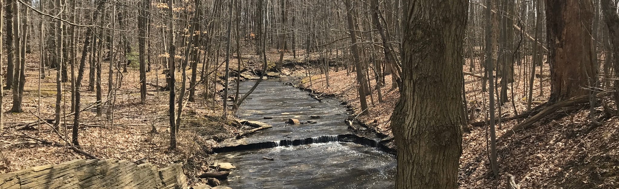 North Chagrin Wildlife Management Loop Trail: 17 Reviews, Map - Ohio ...