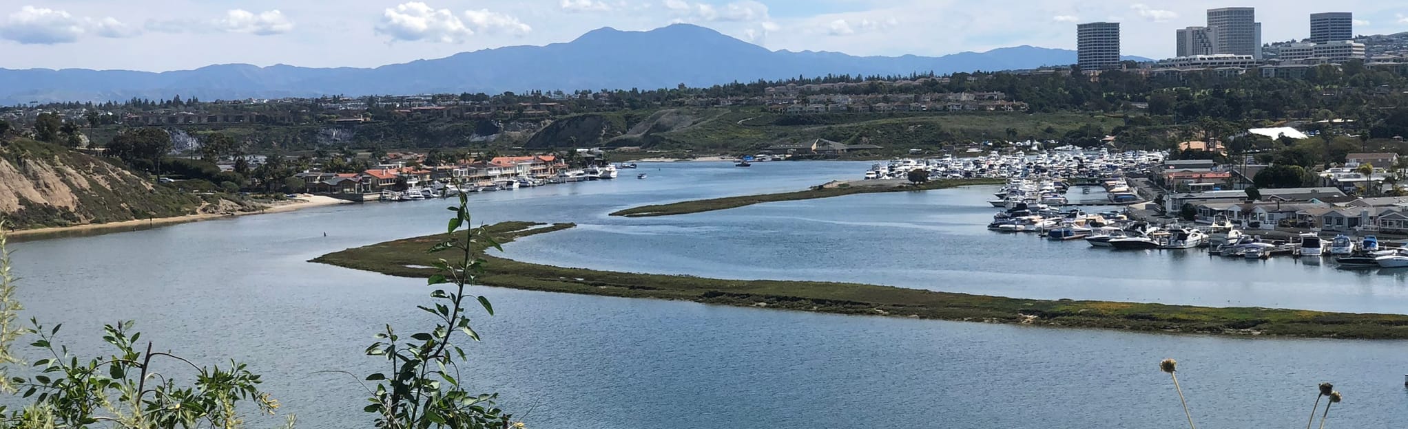 Castaways Park: 331 Reviews, Map - California | AllTrails