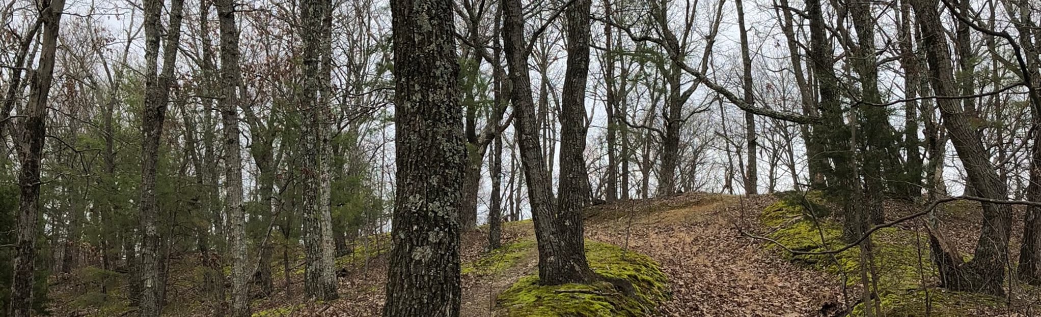 Fresh Air Loop: 261 Reviews, Map - Kentucky | AllTrails