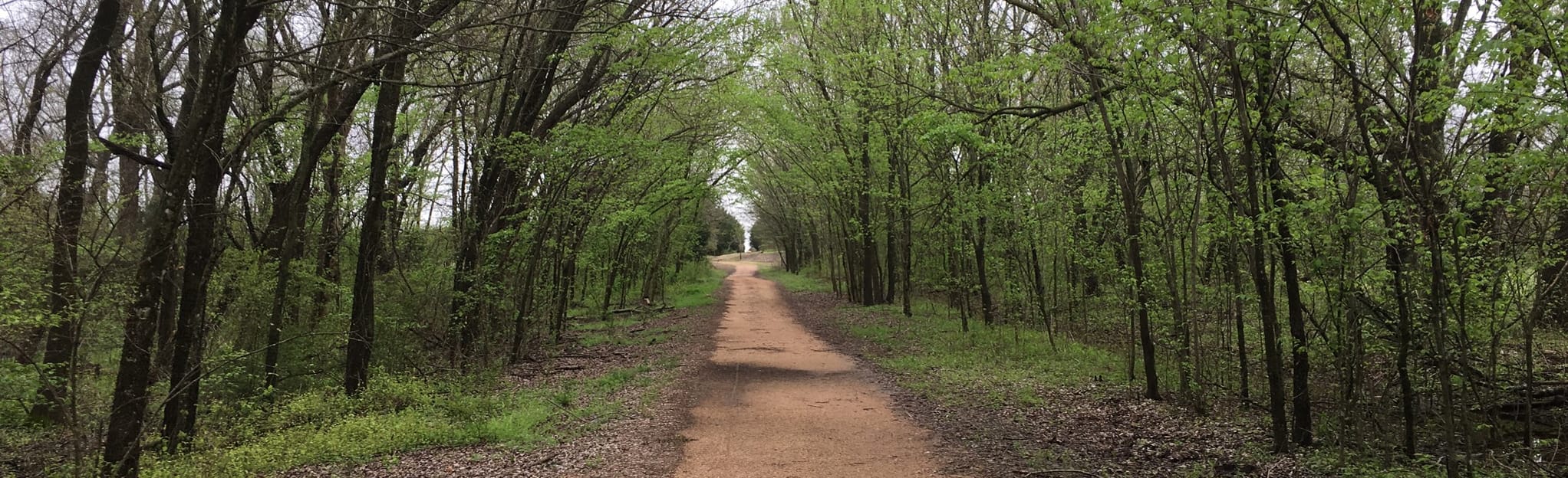 Northeast Texas Trail: 216 Reviews, Map - Texas | AllTrails