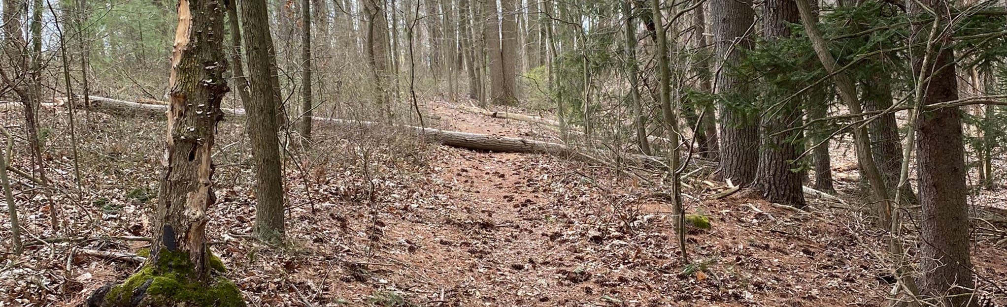 Sparrow Lane and Horseshoe Trail : 39 Reviews, Map - Pennsylvania ...